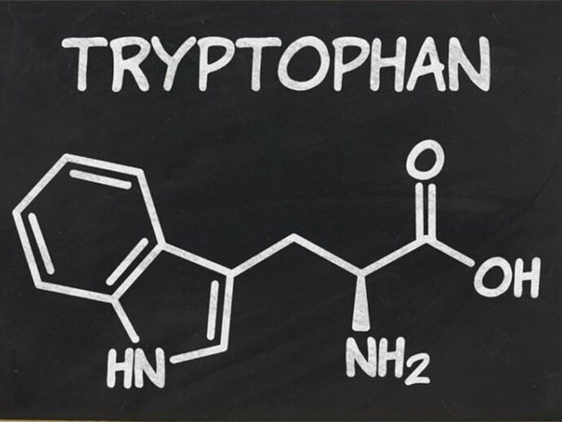 Tryptophan - Neurolab Vital